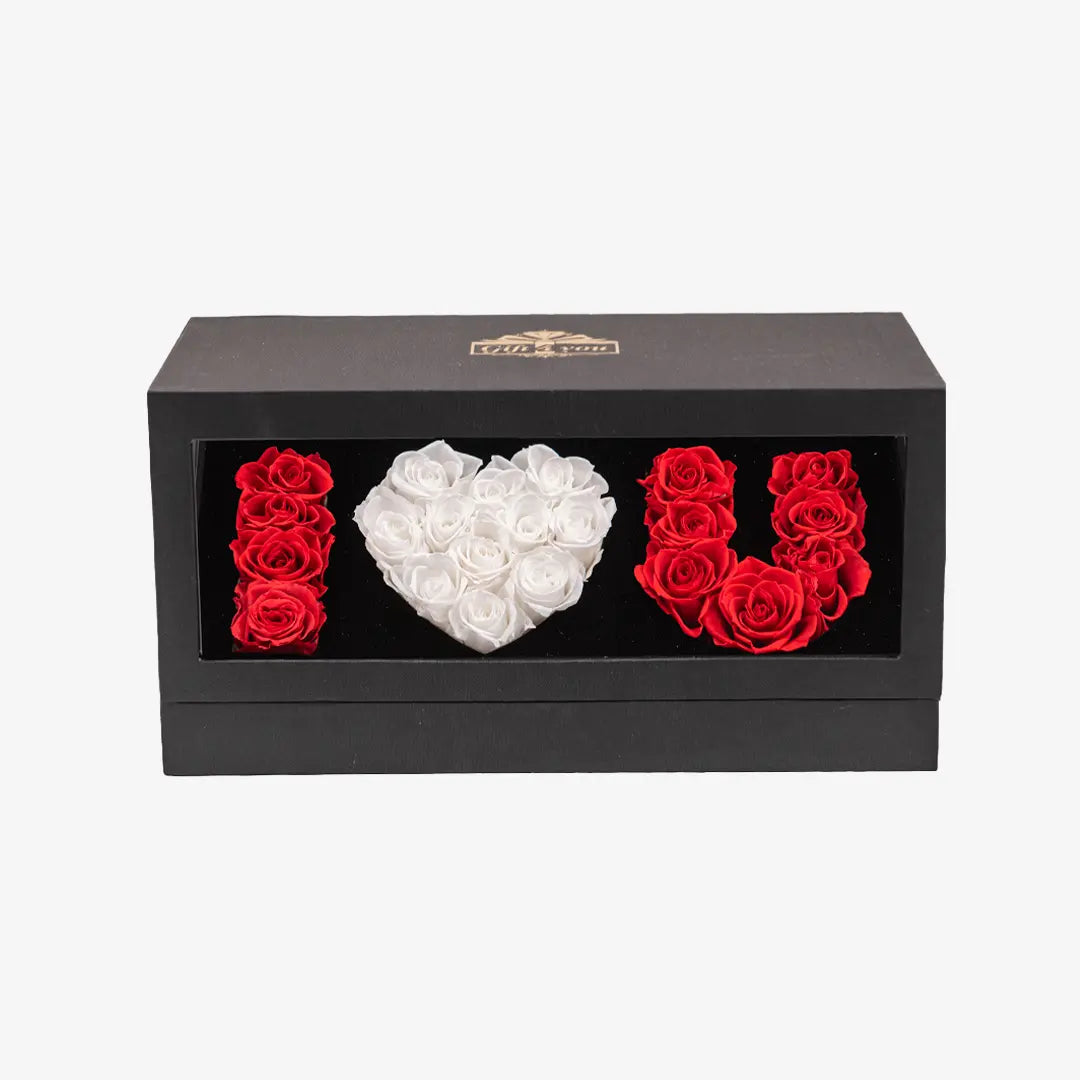 Nova Box – gift-4-alll